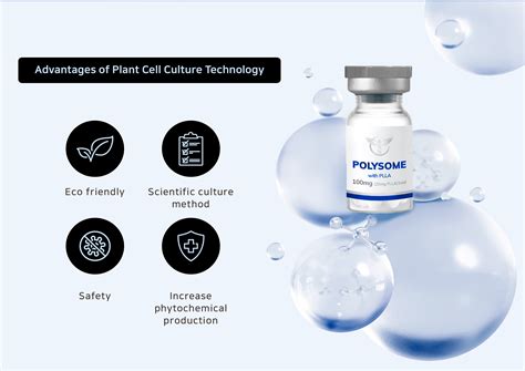 Polysome With Plla Buy Online Skin Reboot Polysome With Plla Buy Online Skin Reboot