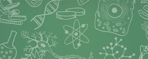 Долой Научные Казусы 2025 ВКонтакте