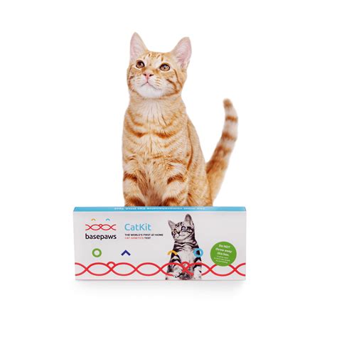 Basepaws Cat Dna Test Breed Health Dental Diseases And Traits Reports