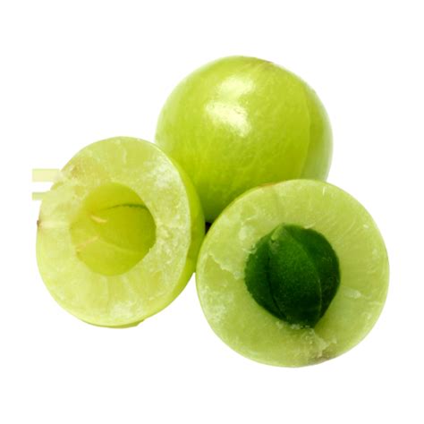 Amla Myerindia