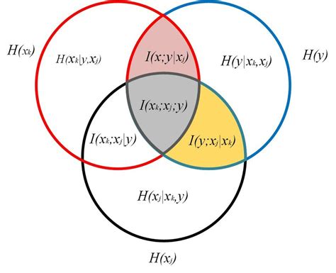 Fcmims Mutual Information Calculation Regions Download Scientific Diagram
