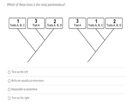 Get Answer Which Of These Trees Is The Most Parsimonious Tree On The