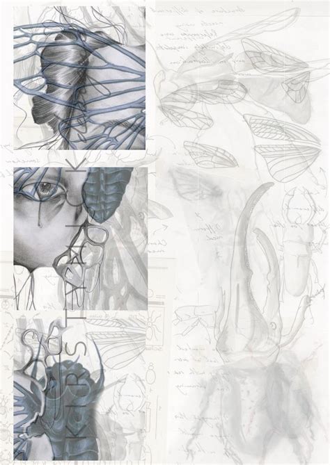 Metamorphosis Artwork Abstract Figure Art