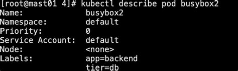 k8s学习之基础六：k8s中pod亲和性 vi kind pod affinity csdn博客