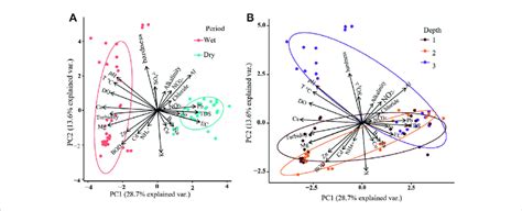 principal component analysis describing the concentration of