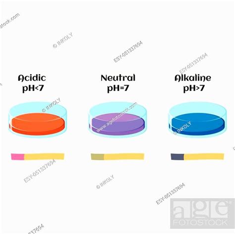 Litmus Liquid And Litmus Paper Test In Solutions With Acidic Alkaline