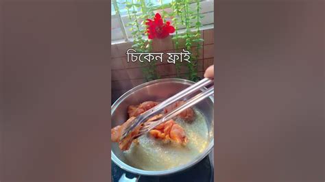 লাল লাল করে চিকেন ফ্রাই Reels2024 Testychicken Viralreels