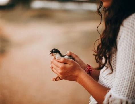 Do Birds Bite Exploring The Reasons Behind Bird Biting