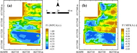 Maps Of The First Factor From The Weighted Principal Component Analysis