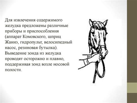 Зондирование - презентация онлайн
