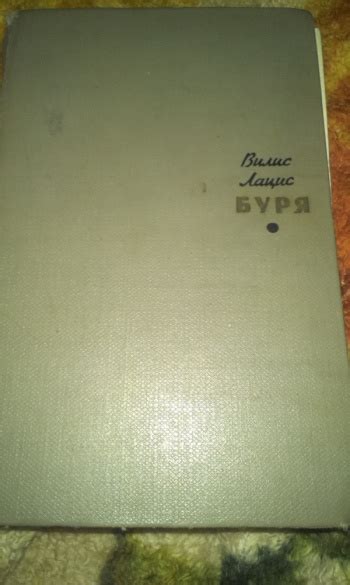 Купить книгу Вилис Лацис "Буря" | Мои Книги