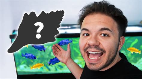 125 Gallon African Cichlid Tank Makeover Youtube