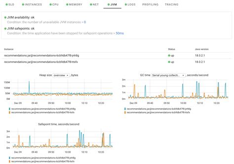 jvm coroot documentation