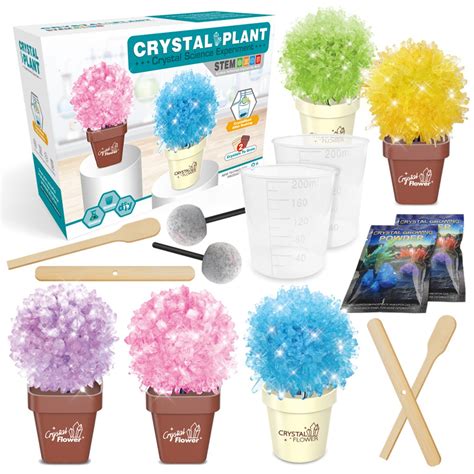 Crystal Growing Kit Diy Stem Projects Learning And Educational Science