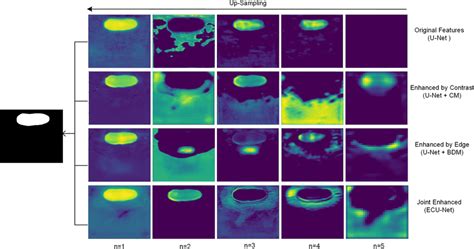 Visualization Of The Features After Skip Connection Where N Represents