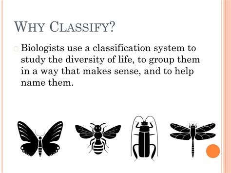 Ppt Organizing Chaos The Art Of Classification Powerpoint
