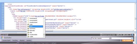 Hide The Quick Launch On A Sharepoint Page Part 2 Let It Know