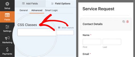 How To Customize Form Field Options