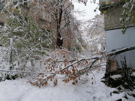 Стотици са сигналите за паднали дървета и скъсани проводници почти всички селища в