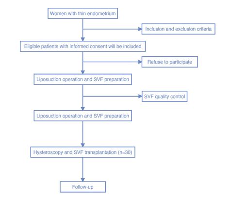 Flowchart Of Enrolment And Recruitment Svf Stromal Vascular Fraction