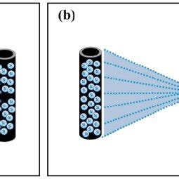 The Schematic Diagrams Of Biochar Coating Methods A Dipping And B Download Scientific