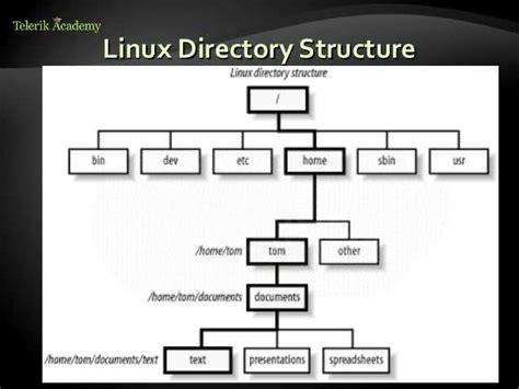Exploring The Directory Structure Of Linux Systems