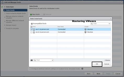 Add Hosts To Vsphere Distributed Switch Mastering Vmware