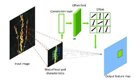 feature extraction based on deformable convolution download