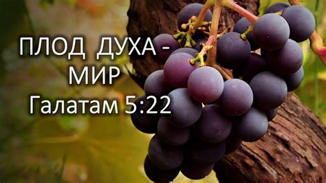 Плод Духа — Мир - YouTube