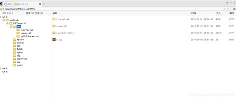 cms漏洞复现 cms ctf csdn博客