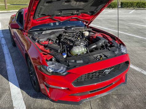 Stuff Nobody Told You About The 2021 Ford Mustang Ecoboost Driveandreview