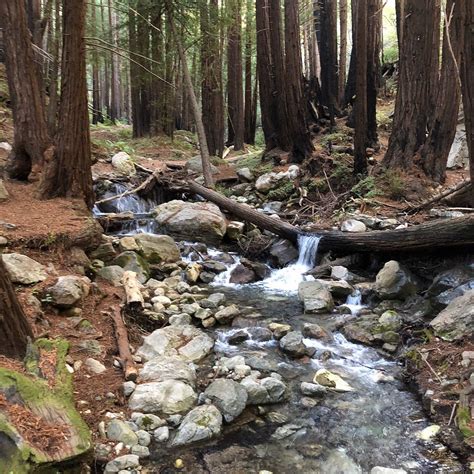 Limekiln State Park All You Should Know Before You Go 2026 W Reviews