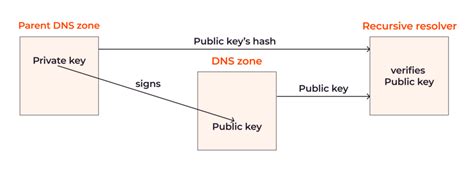 What Is DNSSEC And Why Is It Important For Business