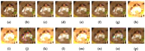 Algorithms Free Full Text Convolutional Neural Networks A Roundup