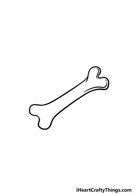 Bone Drawing How To Draw A Bone Step By Step
