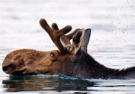 عکس‌های فان هفته کاربران فضای مجازی