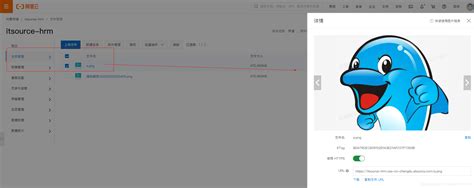 Spring Cloud Alibaba 实操 十三 集成阿里云OSS对象存 阿里云开发者社区