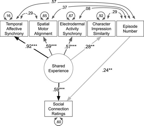 Path Diagram Of Relationships Between Synchrony Measures Shared Download Scientific Diagram