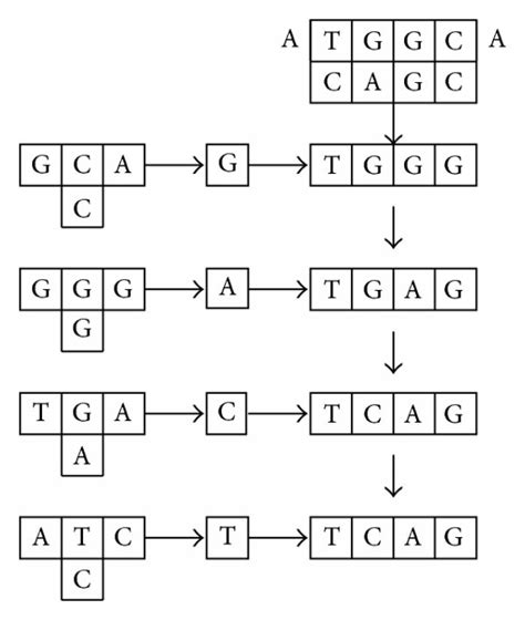 Decryption Processes By Rt Dna Ca Download Scientific Diagram