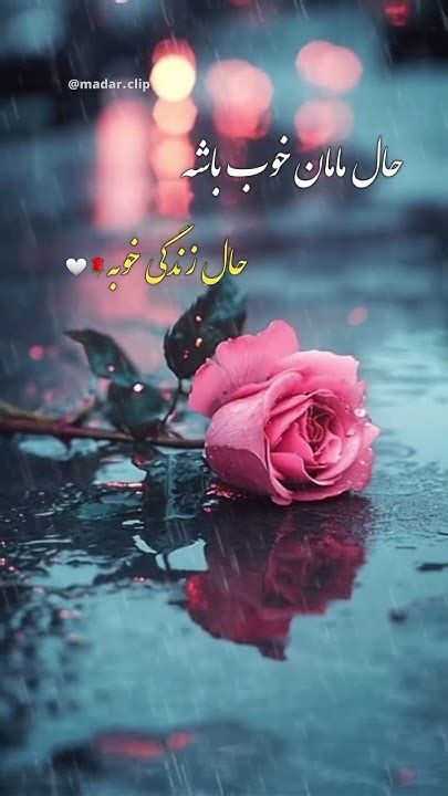 حال مامان خوب باشه ، حال زندگی خوبه 🤍🌹 مامان پدر مادر مادرم Mom