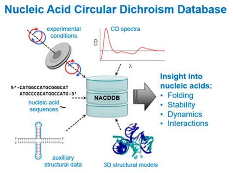 Nacddb Nucleic Acid Circular Dichroism Database French National