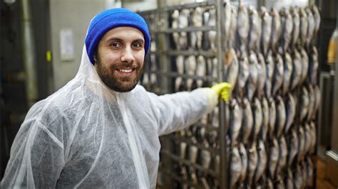 Expert Insights On The Fish Processing Equipment Market Explica