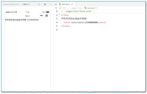【小程序 基础】小程序的代码构成、宿主环境、协同工作和发布02小程序代码程序化 Csdn博客
