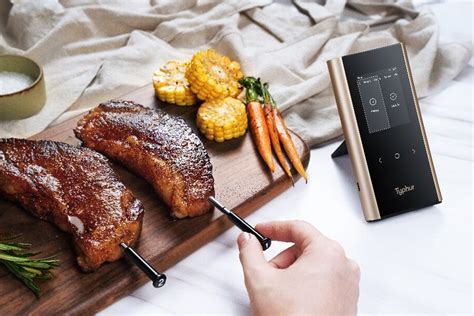 Best Wireless Meat Thermometers Of 2026 Top 5 Picks