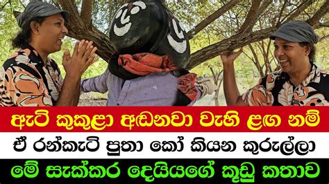 ඇටි කුකුළා අඬනවා වැහි ළඟ නම් රන්කැටි පුතා කෝ කියන කුරුල්ලා මේ සැක්කර දෙයියගේ කූඩු කතාව Youtube