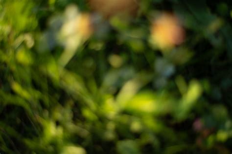 The First Chatbot Green And An Icon