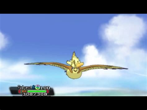Pidgeot Mega Evolution