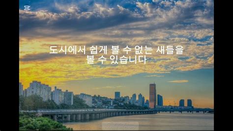 문화가 있는 한국어 읽기 Youtube