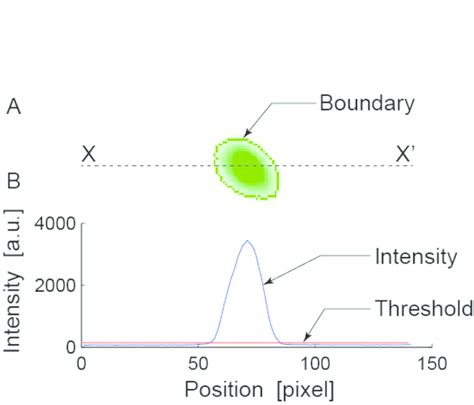 Figure S 6 Detection Of A Nucleus By The Image Processing A Two