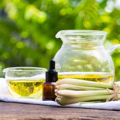 Lemongrass Essential Oil Benefits Uses And Side Effects Dr Axe